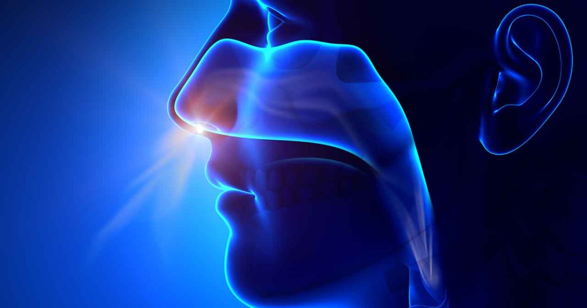 Rinosinusite: o que é, sintomas e tratamento | CUF