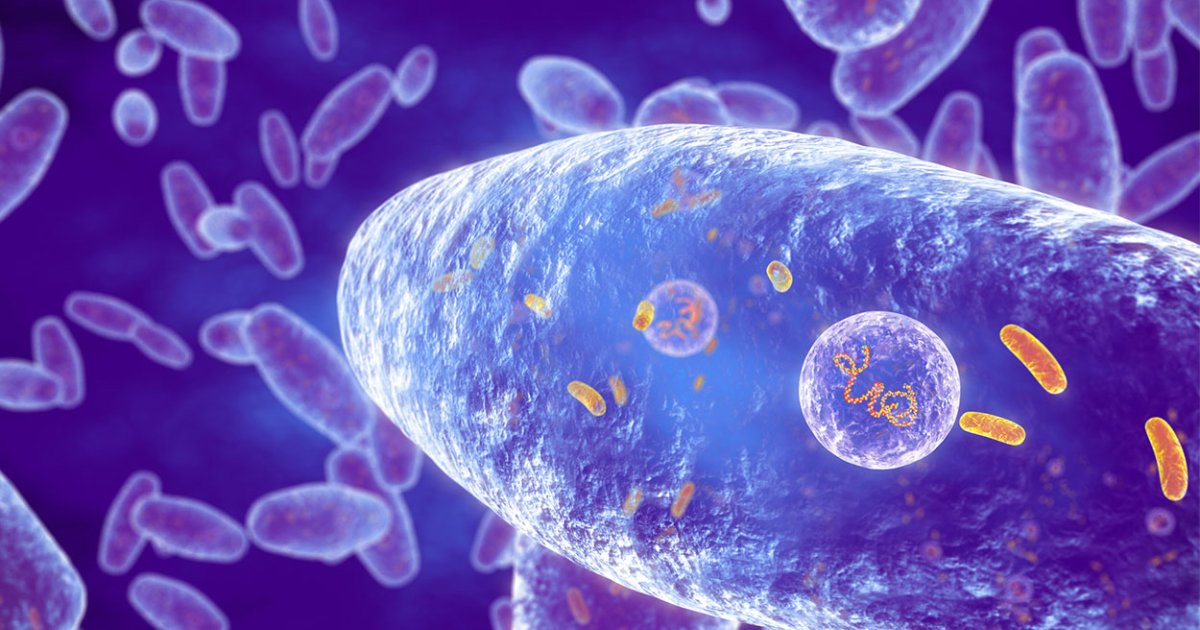 Tosse convulsa | CUF