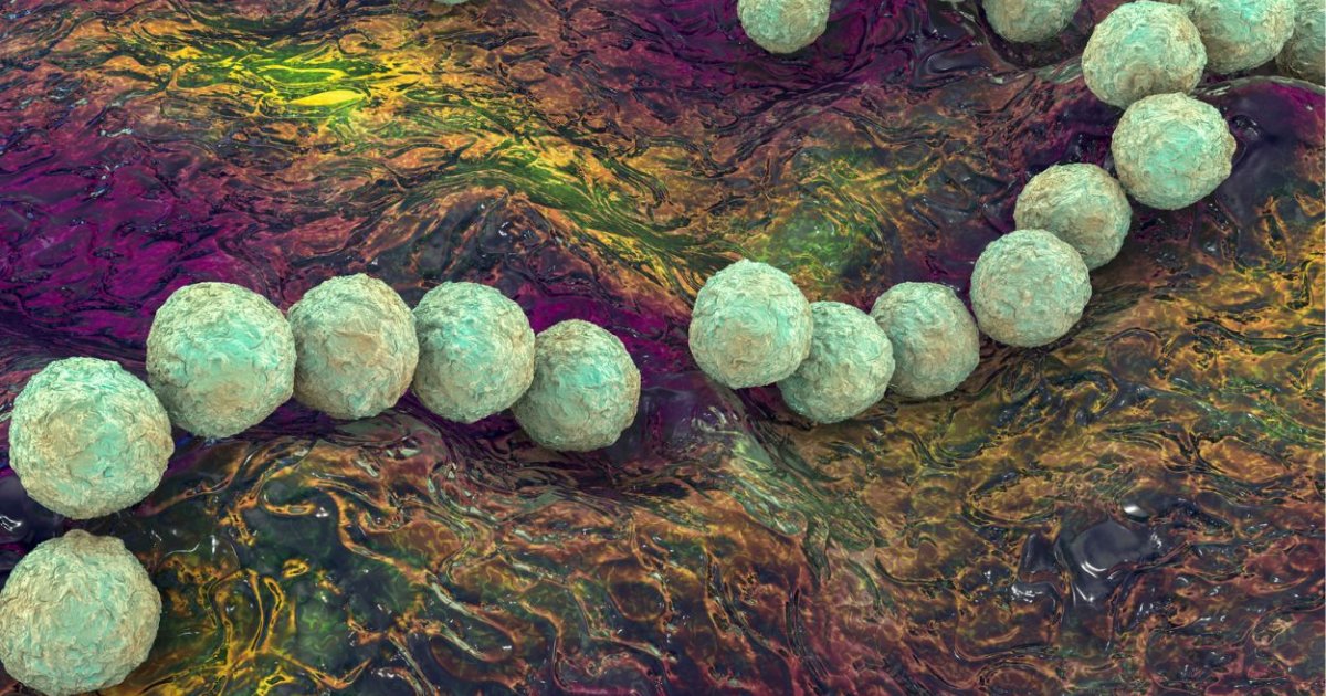 Impetigo: o que é, sintomas e tratamento | CUF