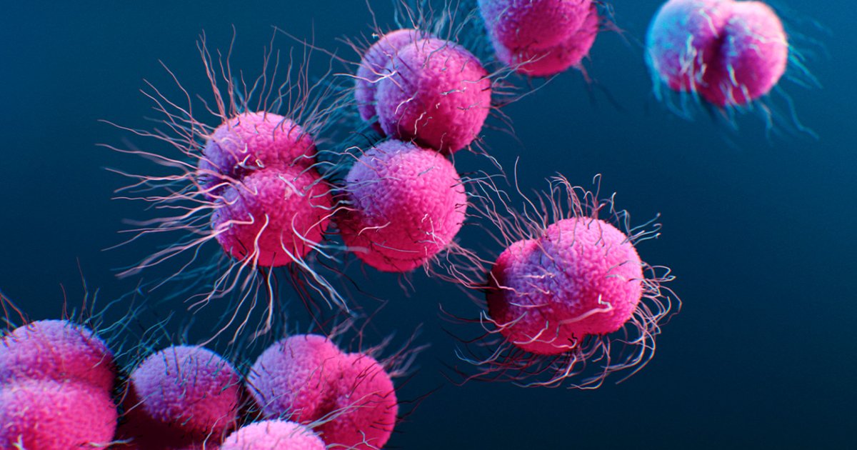 Gonorreia: o que é, sintomas e tratamento | CUF